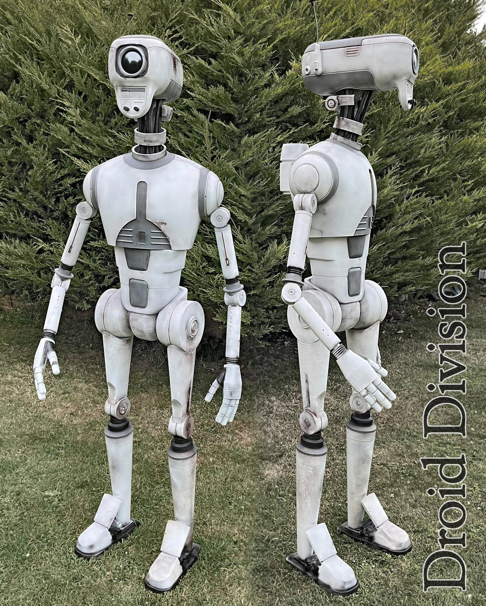 About DD – Droid Division